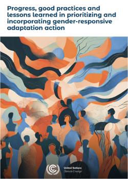 Progress, good practices and lessons learned in prioritizing and ...