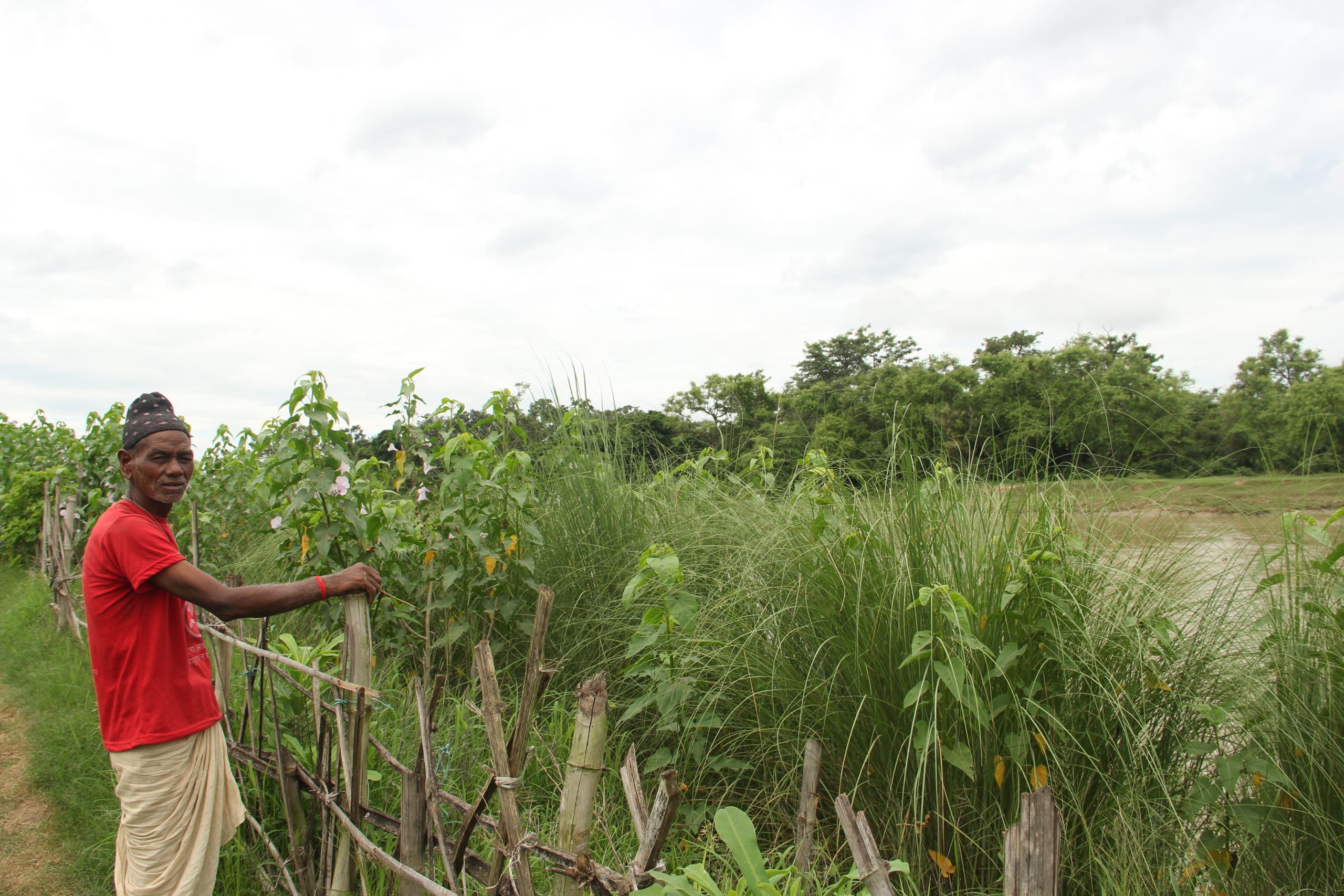 Eco-solutions: Can nature solve our problems? - Zurich Climate ...