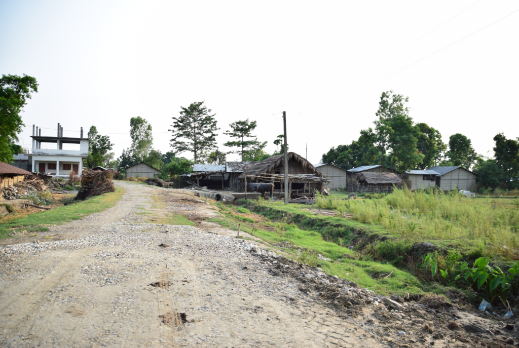 Carrying out research during lockdown: how to do remote surveys in ...