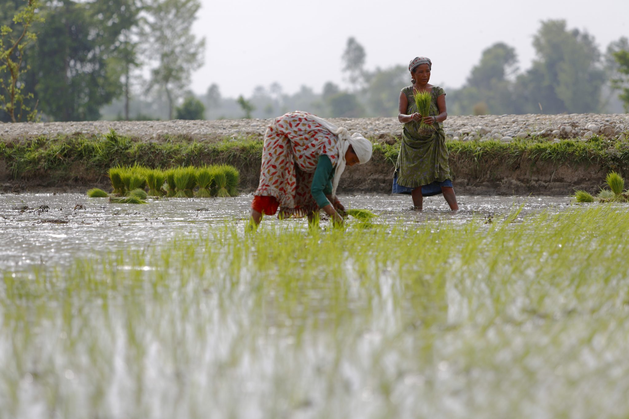 How flood events affect food security in low-income communities ...
