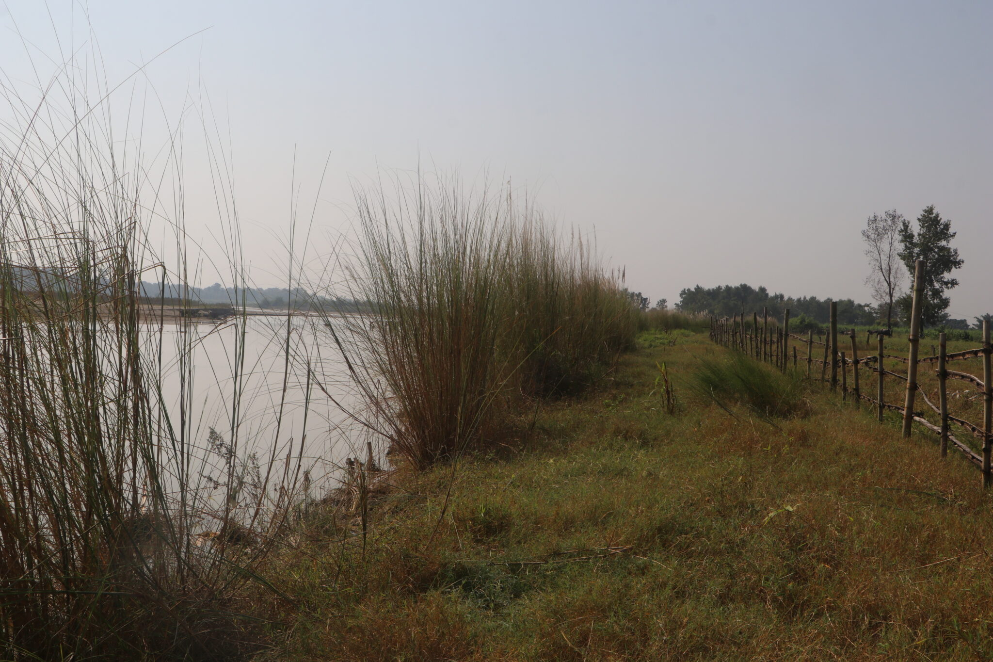 Bio-dykes: A nature-based approach to reducing flood risk in Kanchanpur ...