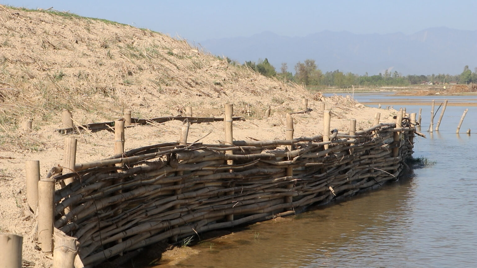 Bio-dykes: A nature-based approach to reducing flood risk in Kanchanpur ...